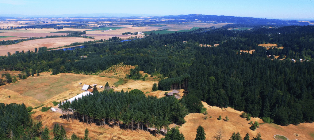 Salem Aerial - The Overview - Salem Aerial